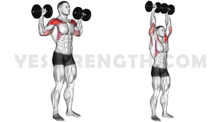 Push Day Workout Routine for Beginners | Exercises - Yes Strength