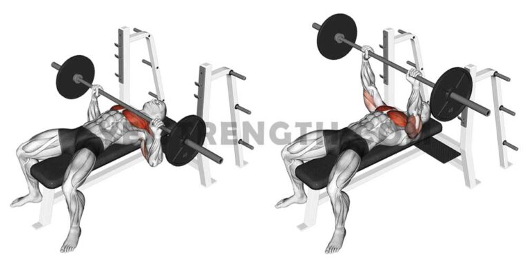 Push Day Workout Routine for Beginners | Exercises - Yes Strength