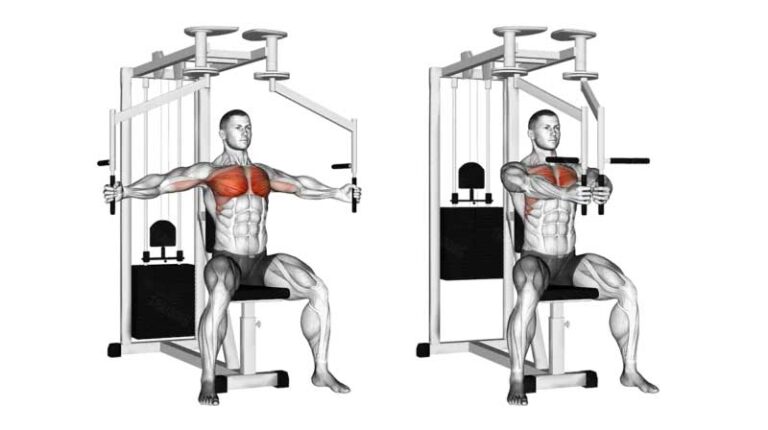 Push Day Workout Routine for Beginners | Exercises - Yes Strength