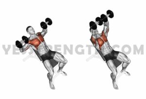 How to Do Incline Dumbbell Bench Press: Muscles Worked - Yes Strength